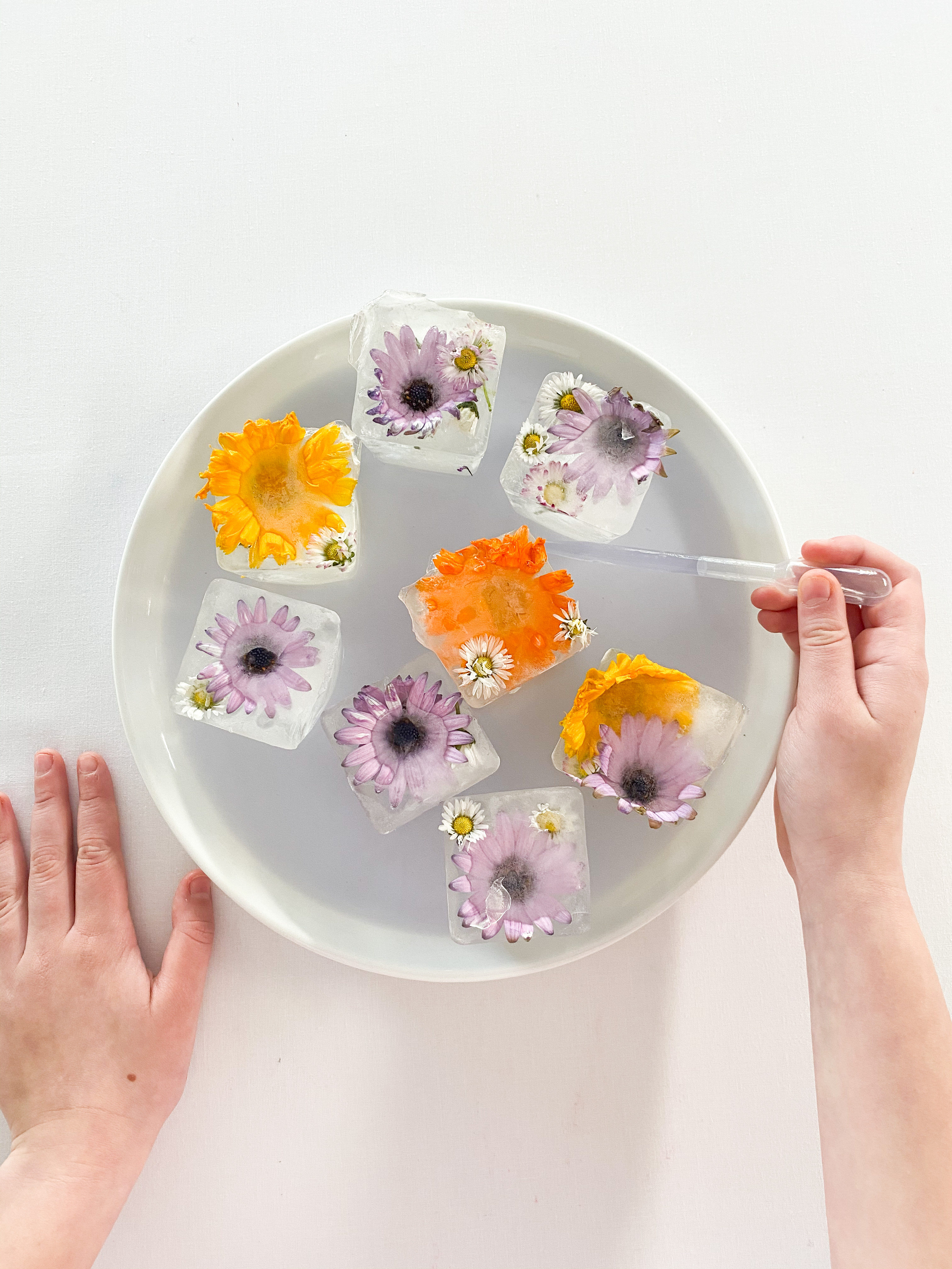 Flower Science